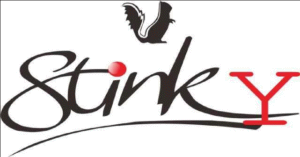 Biodata Group Band Stinky dan Daftar Videonya - VIDEO VIRAL YOUTUBE